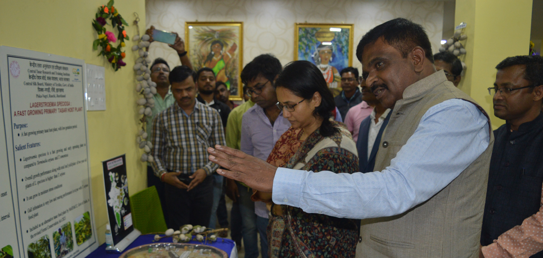 Central Tasar Research & Training Institute